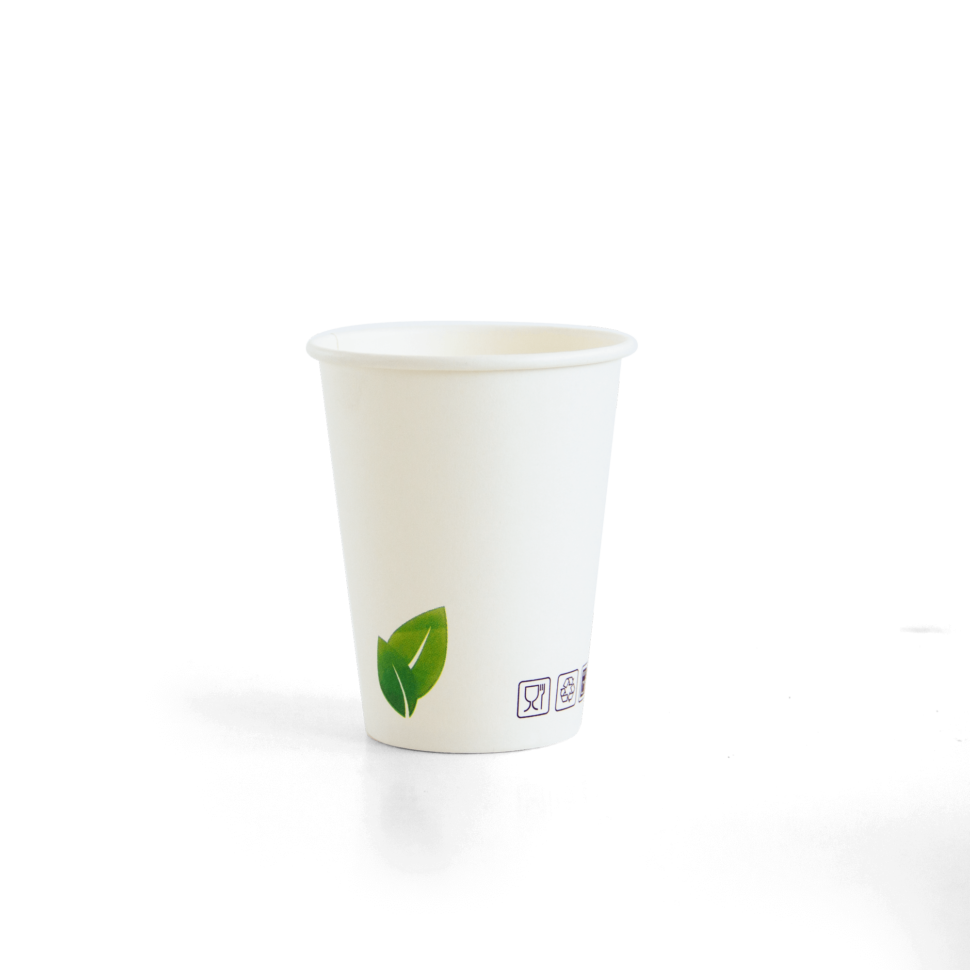 Vasos de Papel Compostables – Greenpacto